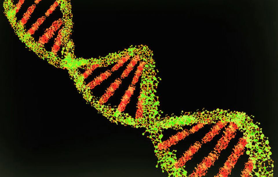 Our cancer preventing genes revealed | Pursuit by the University of ...