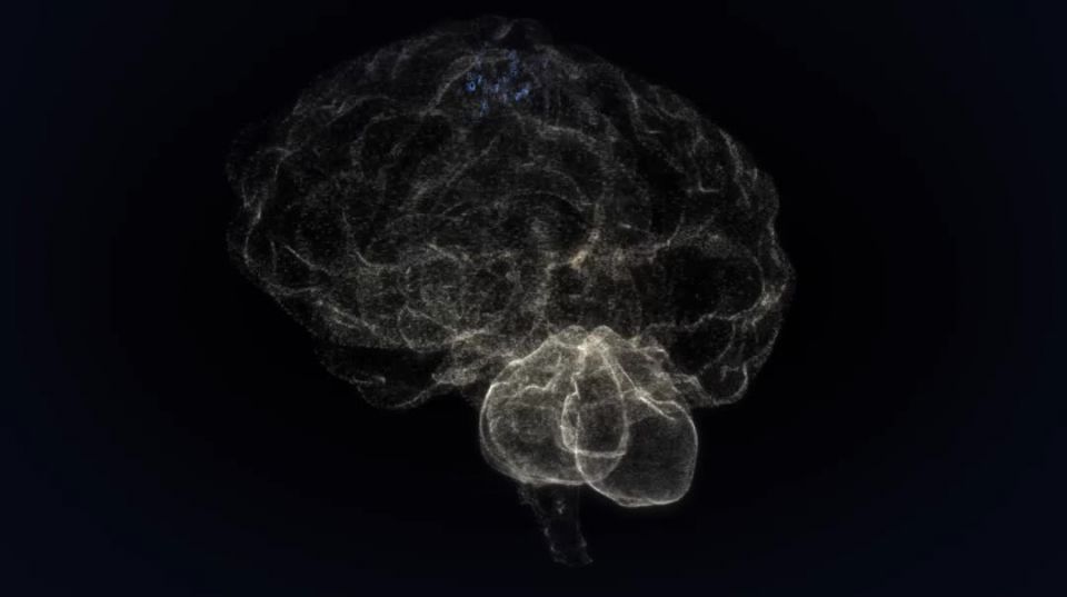 Growing organs outside the body | Pursuit by the University of Melbourne