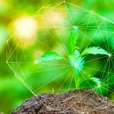 The jobs of 2027 | Pursuit by the University of Melbourne
