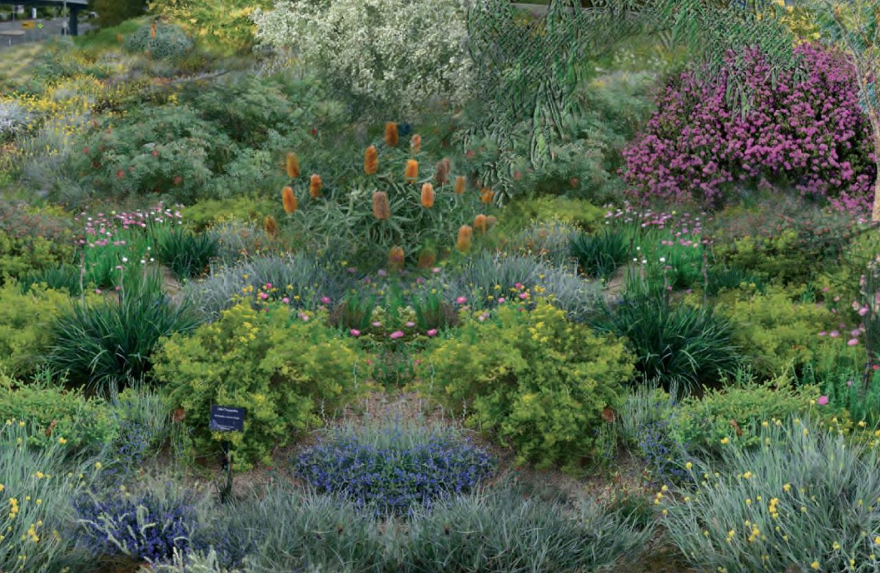 A woody meadow in the heart of the city | Pursuit by the University of ...