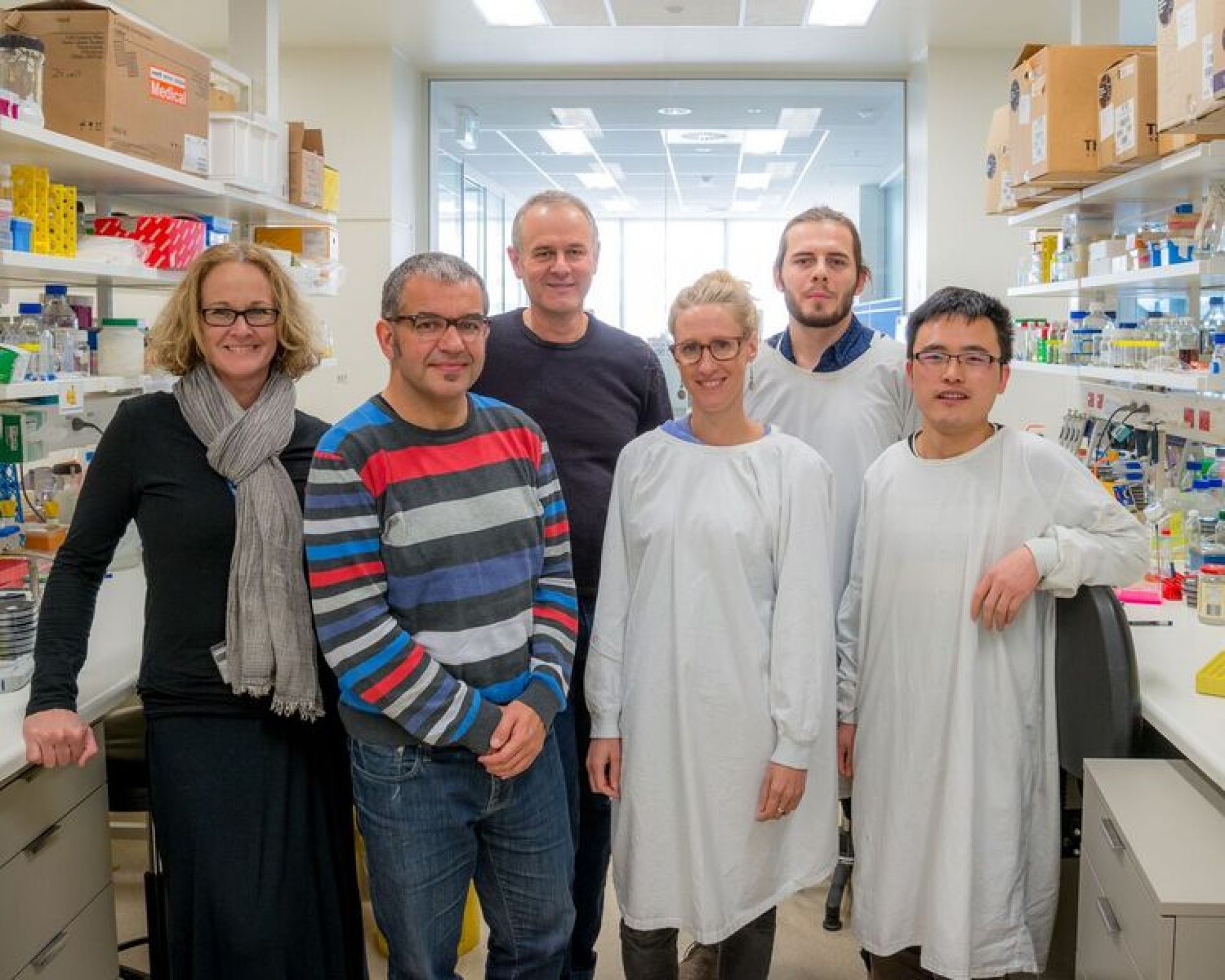 The immune legions fighting Legionnaires’ disease | Pursuit by the ...