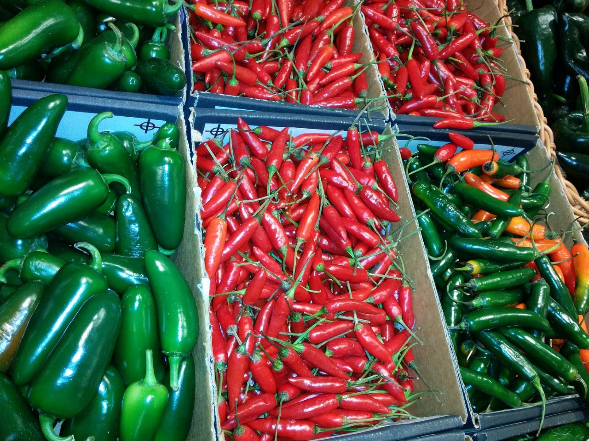 The black spot on Australia’s chilli industry | Pursuit by the ...