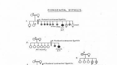 The birth of syphilis surveillance in Melbourne | Pursuit by the ...