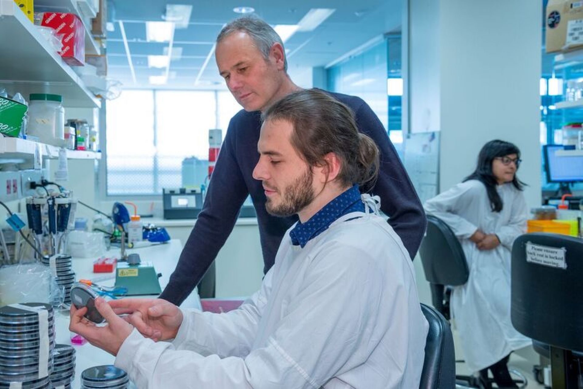 The immune legions fighting Legionnaires’ disease | Pursuit by the ...