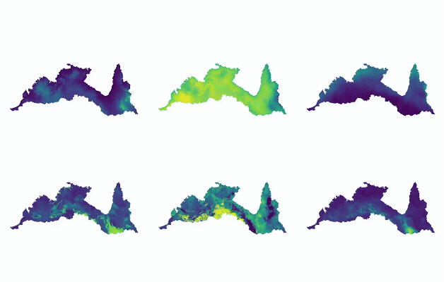 Australia’s vast savannas are changing, and AI is showing us how ...