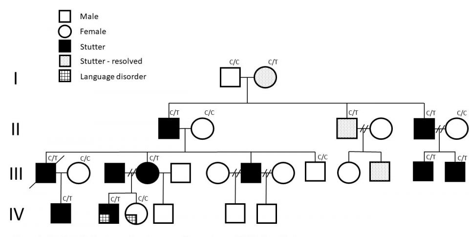 The genetics of stuttering | Pursuit by the University of Melbourne