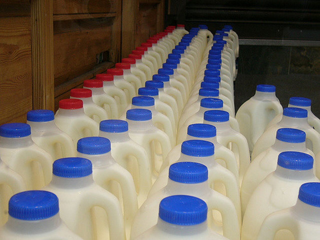 Dairy’s (climate) changing future | Pursuit by the University of Melbourne