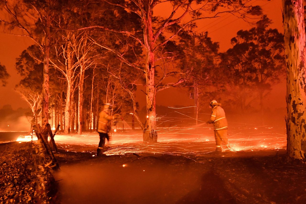 The burning of Australia’s nature | Pursuit by the University of Melbourne