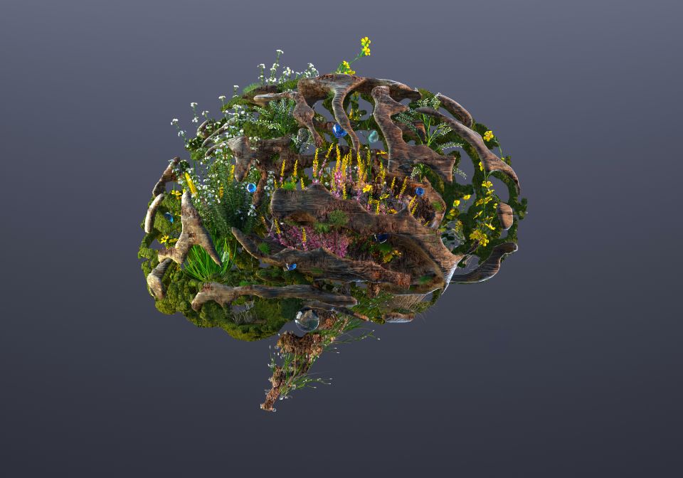 Why your brain health matters | Pursuit by the University of Melbourne