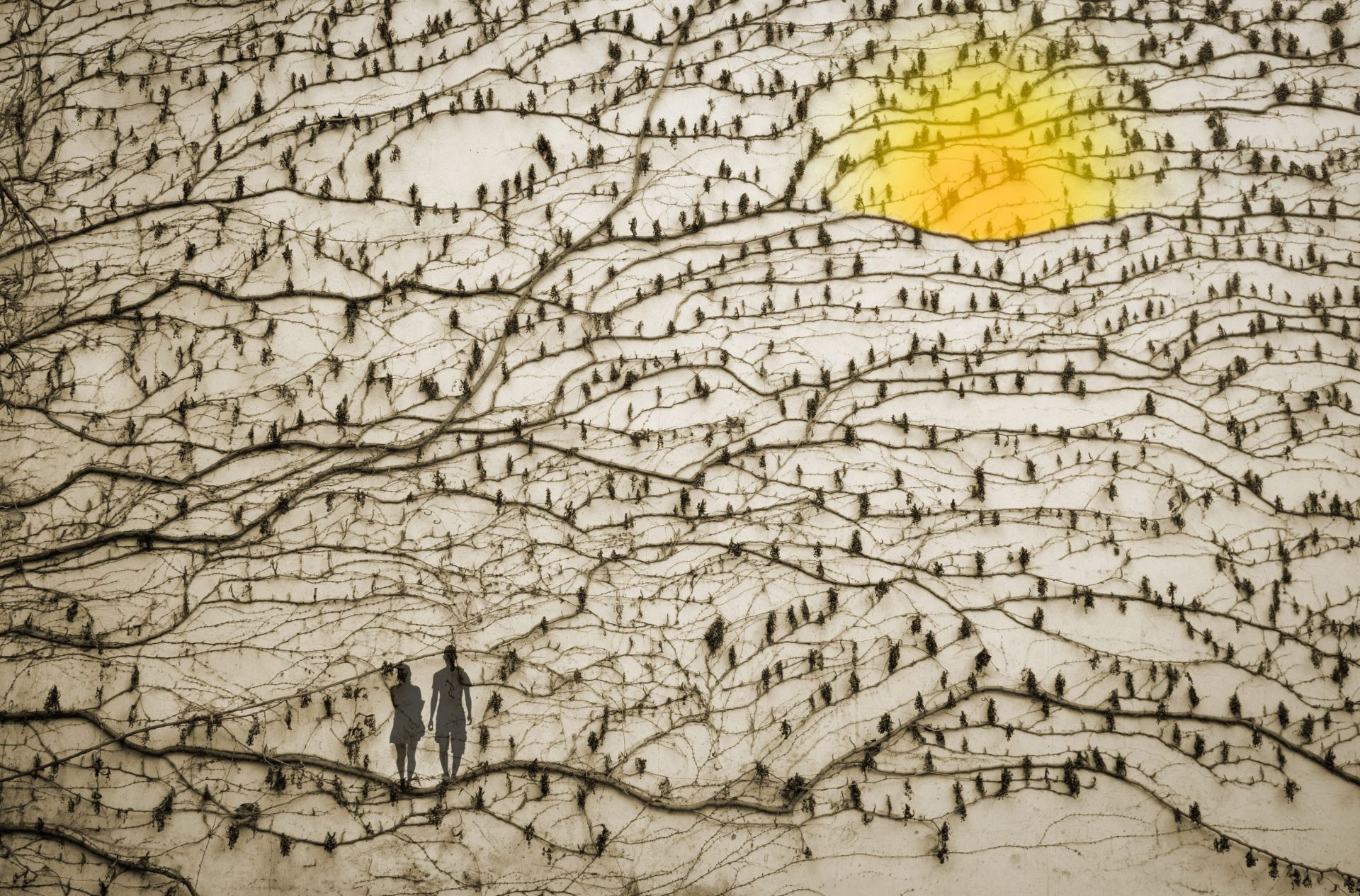 Friendship as a radical act | Pursuit by the University of Melbourne