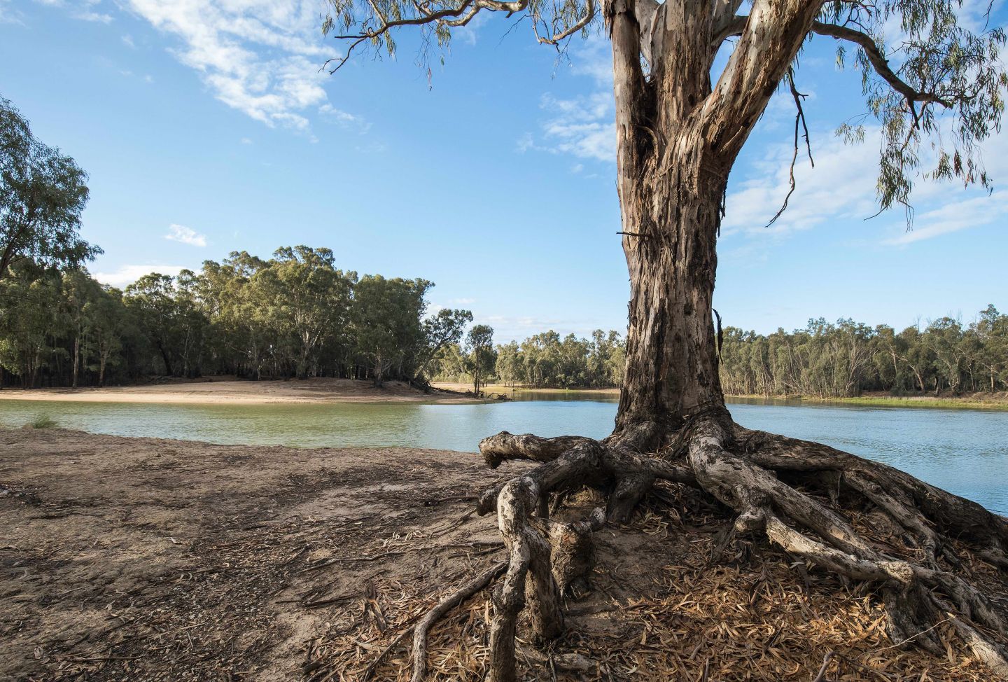Always was and always will be Aboriginal water | Pursuit by the ...