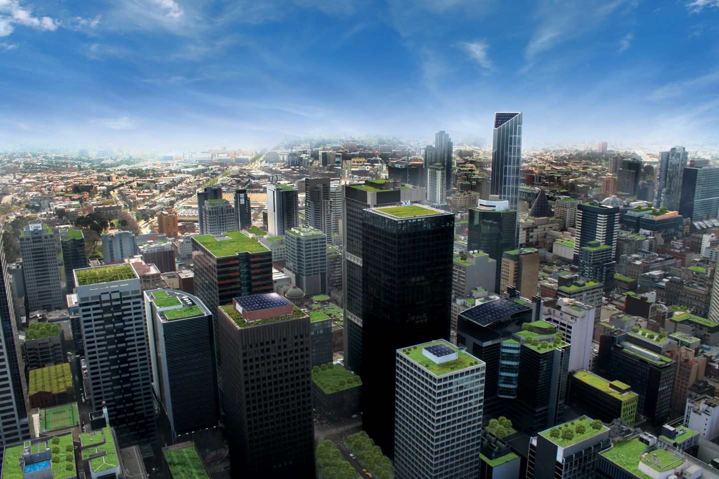 Growing greener cities | Pursuit by the University of Melbourne
