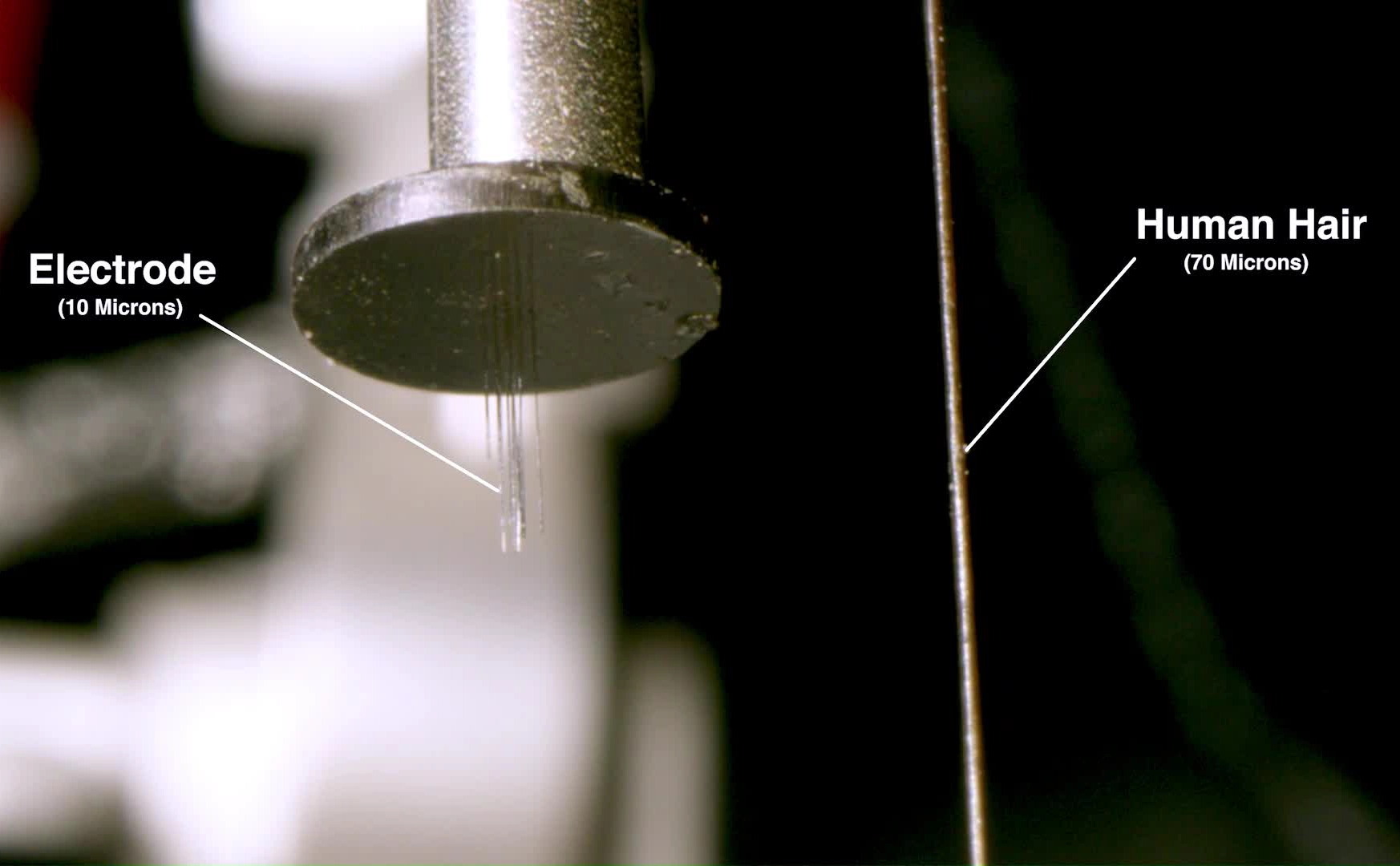 New diamond-coated electrodes may help people walk again | Pursuit by ...