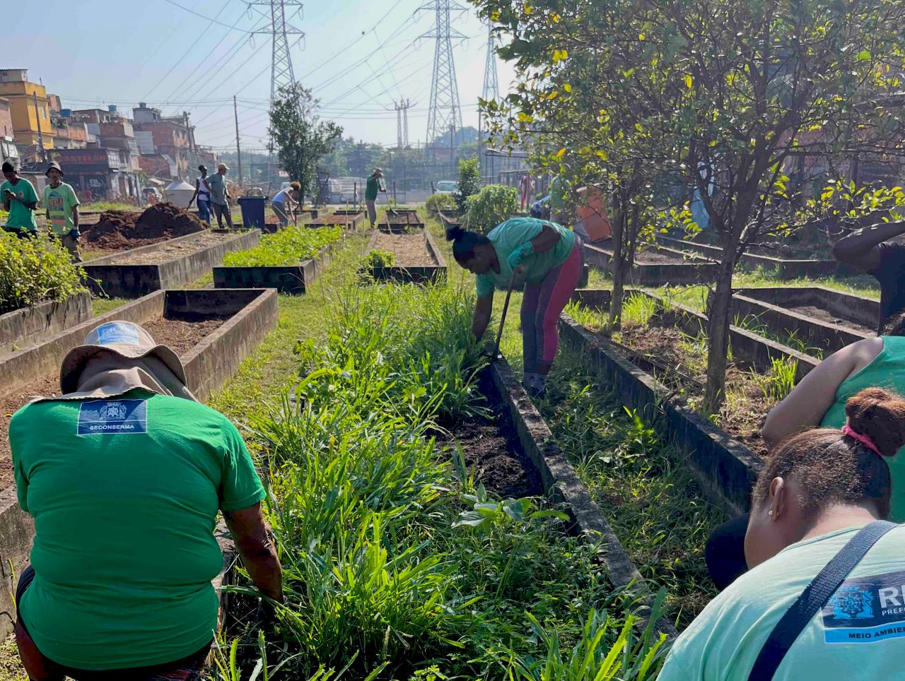 Bringing community together through urban farming | Pursuit by the ...
