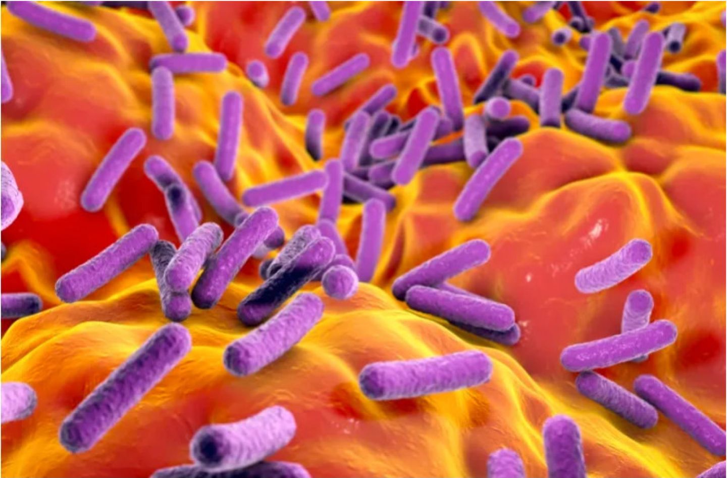 Postbiotics: the new kid in the gut health family | Pursuit by the ...