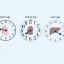 How old are your internal organs? | Pursuit by the University of Melbourne