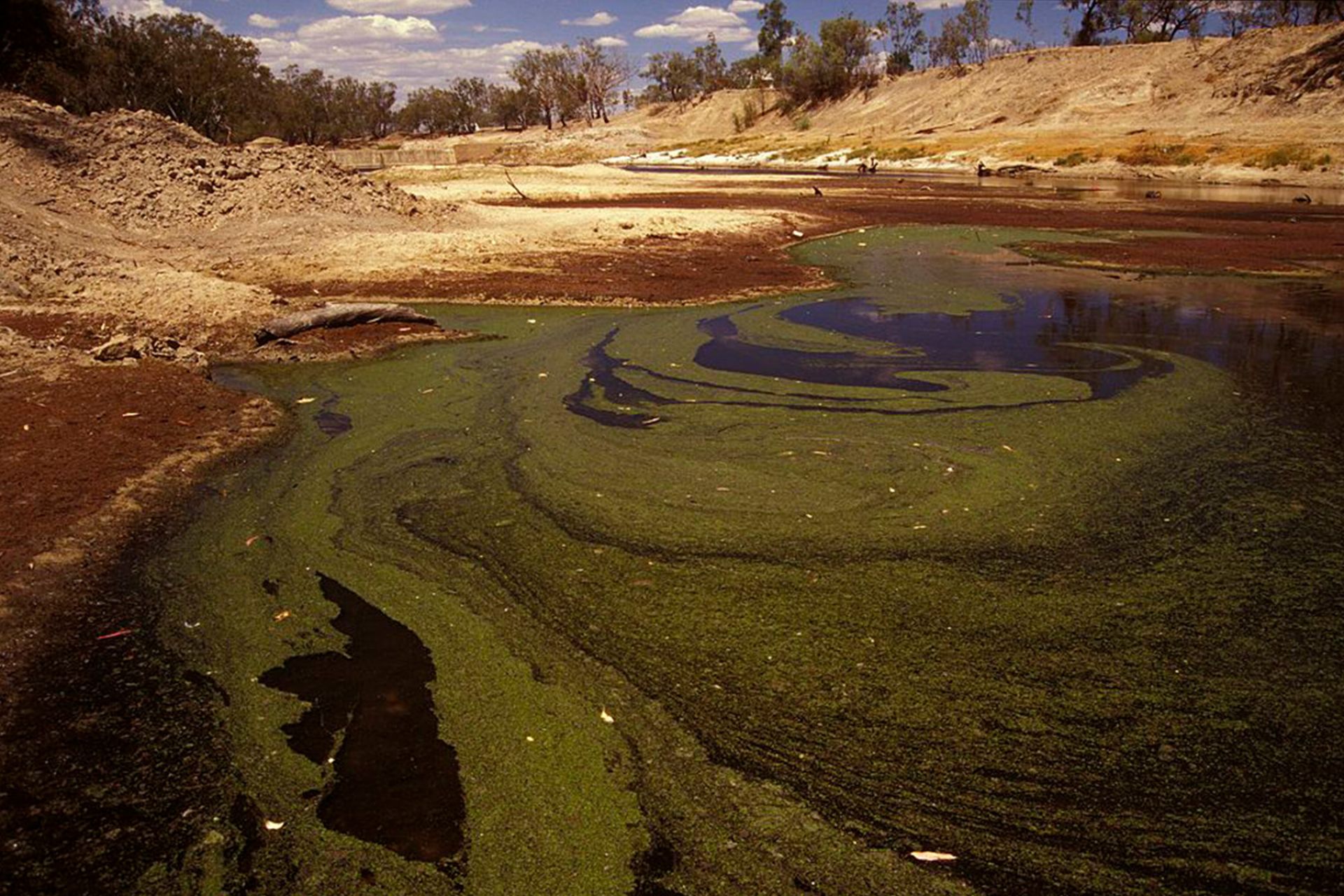 We can do more to restore our freshwater ecosystems | Pursuit by the ...