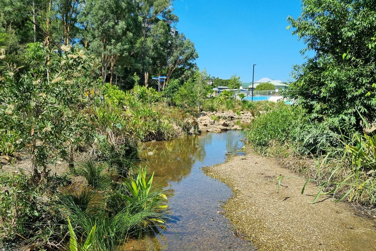 We can do more to restore our freshwater ecosystems | Pursuit by the ...