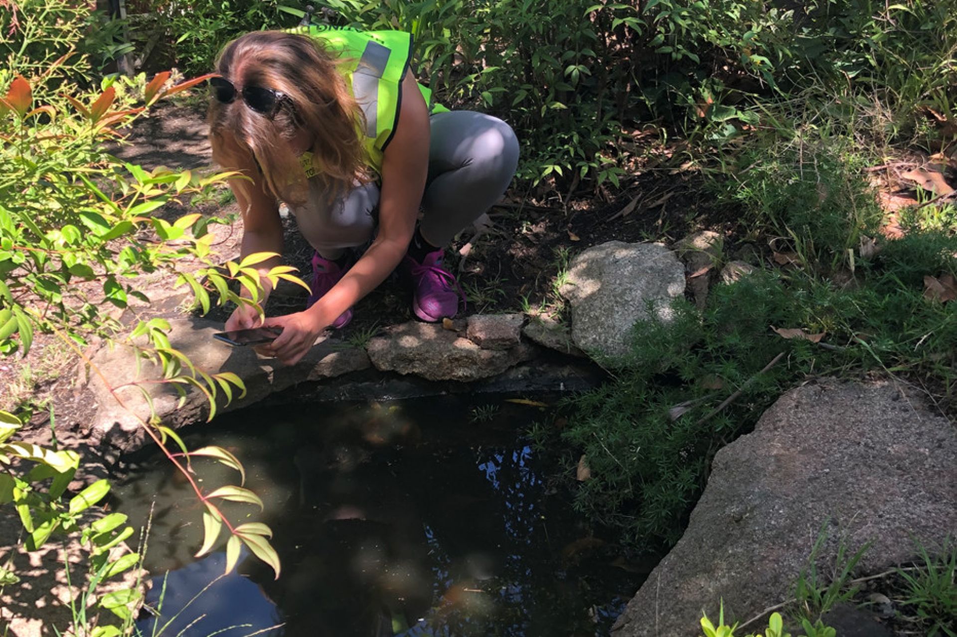 Q&A: Victoria’s monster mosquito explosion | Pursuit by the University ...