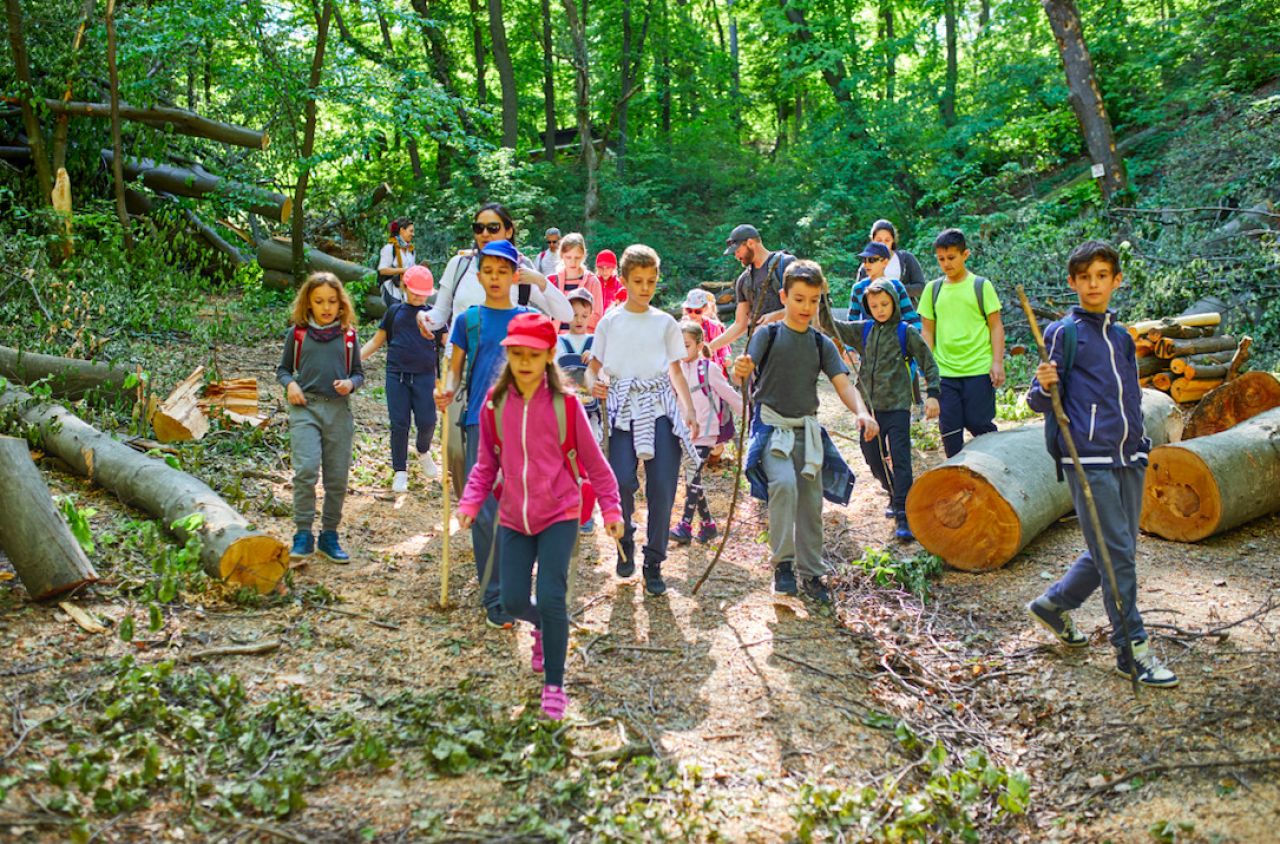 Nurturing nature in schools for enhanced learning | Pursuit by the ...