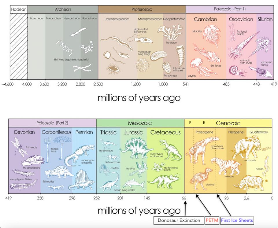 Fossil forests under Antarctic ice | Pursuit by the University of Melbourne