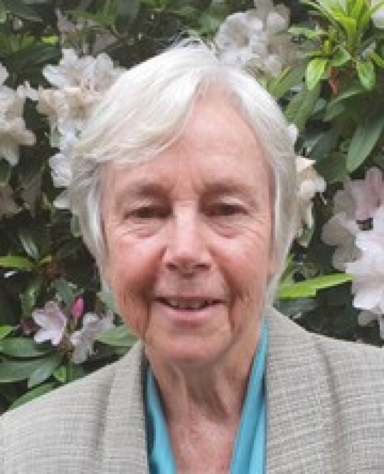 Pam Whiteley | Pursuit by the University of Melbourne