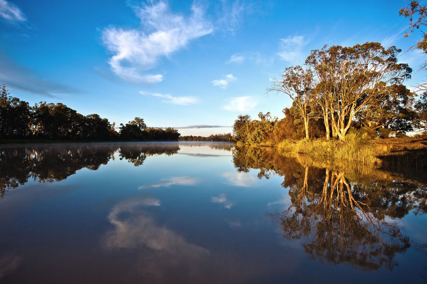 We can do more to restore our freshwater ecosystems | Pursuit by the ...
