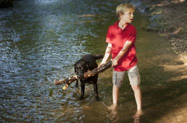 What are we doing to our dogs? | Pursuit by the University of Melbourne