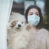 Life after the pandemic for your (new) pet | Pursuit by the University ...