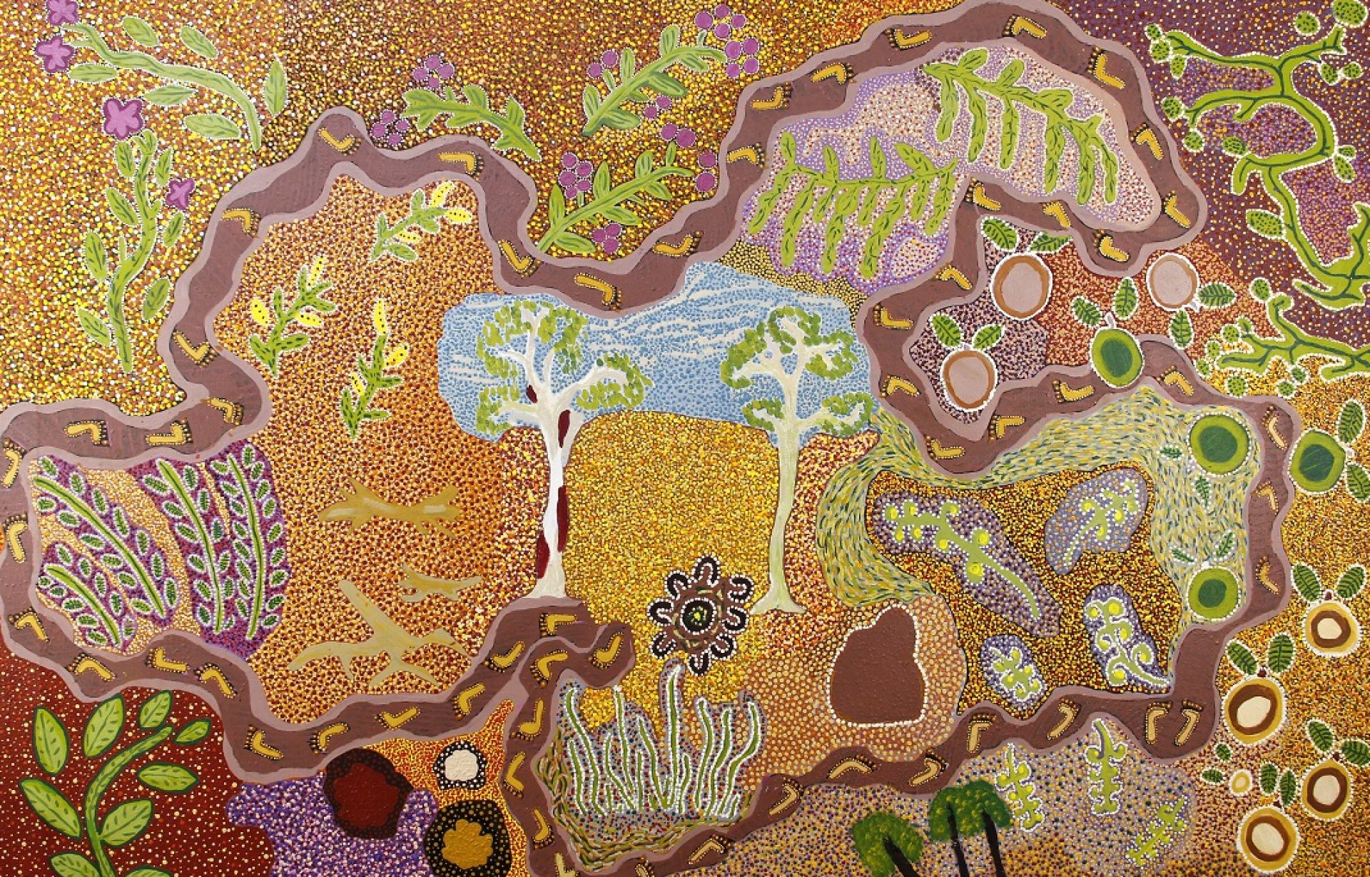 The endurance of bush medicine | Pursuit by the University of Melbourne