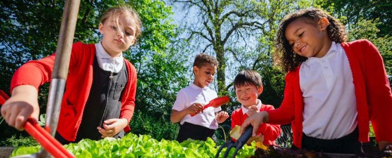 Nurturing nature in schools for enhanced learning | Pursuit by the ...