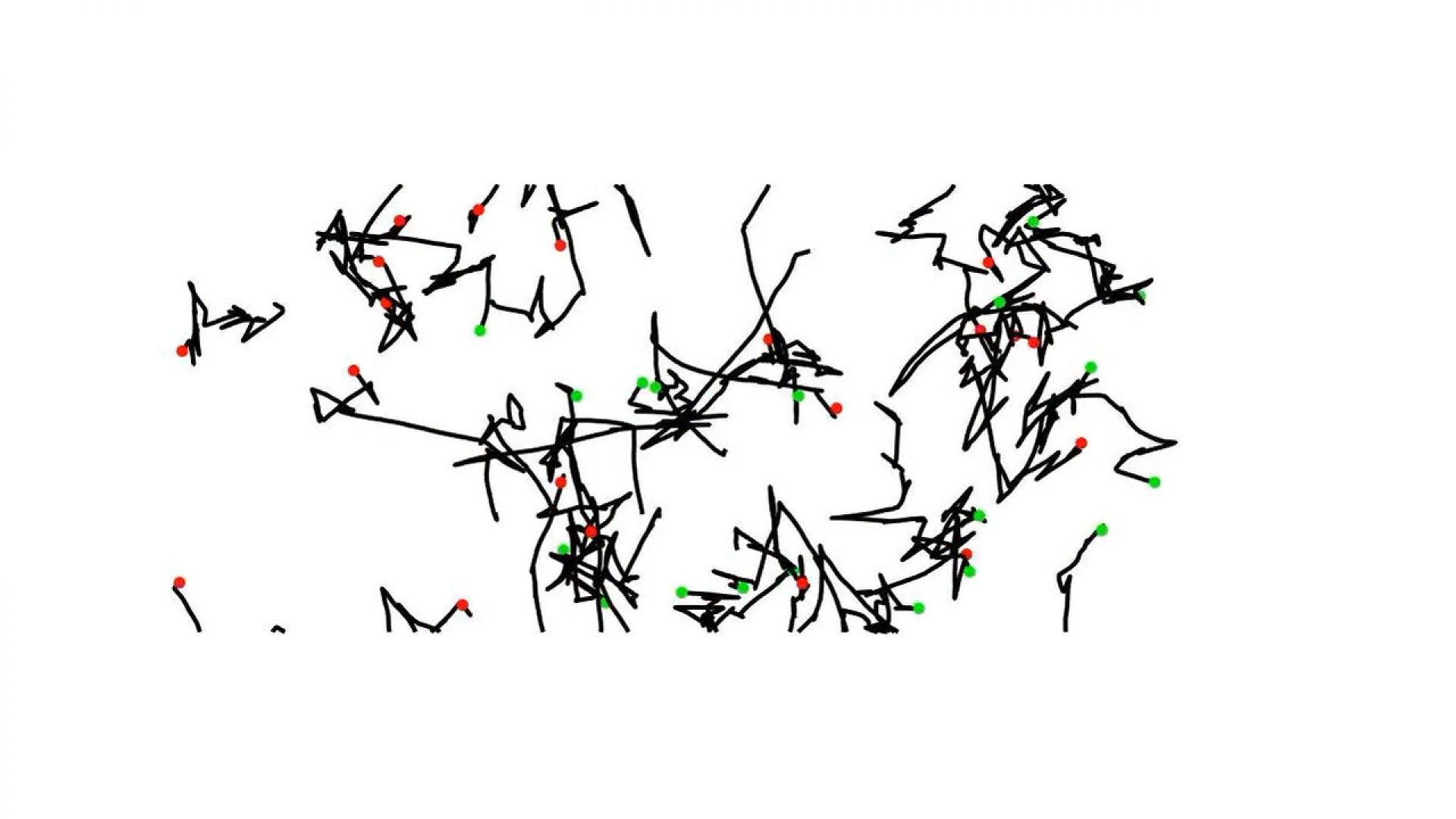 The smallest marine microbes share nutrients – briefly | Pursuit by the ...