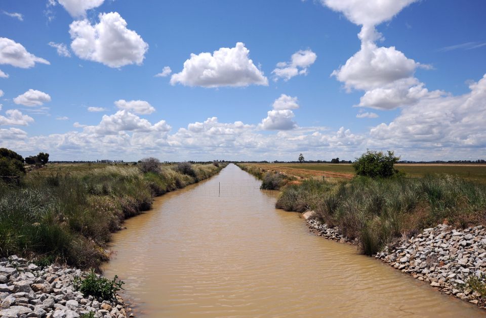 Repairing the Murray-Darling Basin | Pursuit by the University of Melbourne