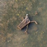Post-capitalism: Life within environmental limits | Pursuit by the ...