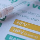 Just one dose of HPV vaccine benefits women worldwide | Pursuit by the ...