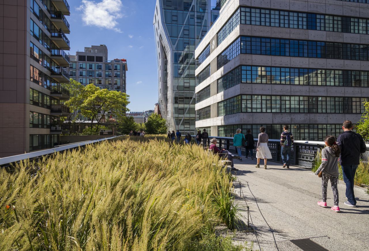 How our cities should respond to the biodiversity extinction crisis ...
