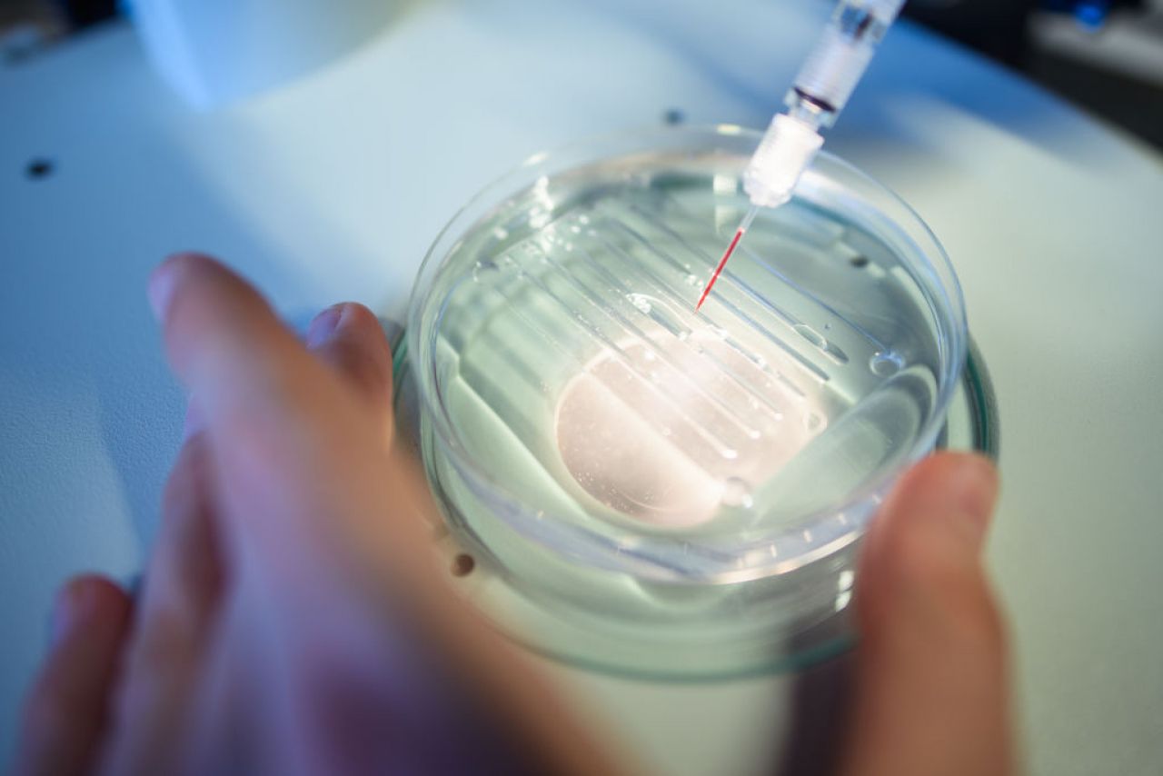 Gene-edited babies: What does the law allow in Australia? | Pursuit by ...