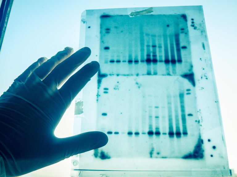 Who owns your DNA? | Pursuit by the University of Melbourne