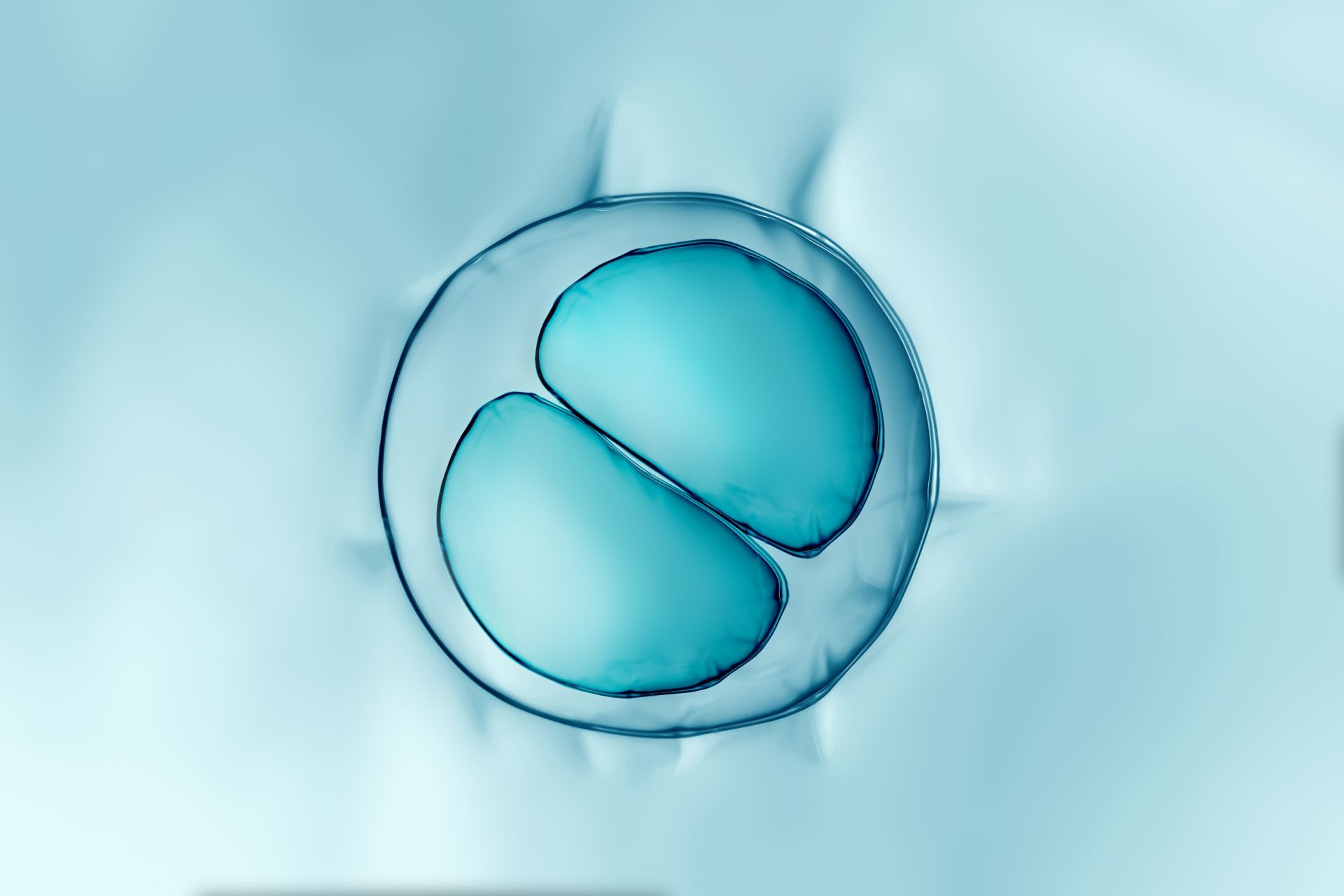 Understanding how a cell becomes a person - with maths | Pursuit by the ...