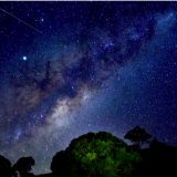 Where have all the stars gone? | Pursuit by the University of Melbourne