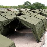 Academics call for an end to immigration detention | Pursuit by the ...